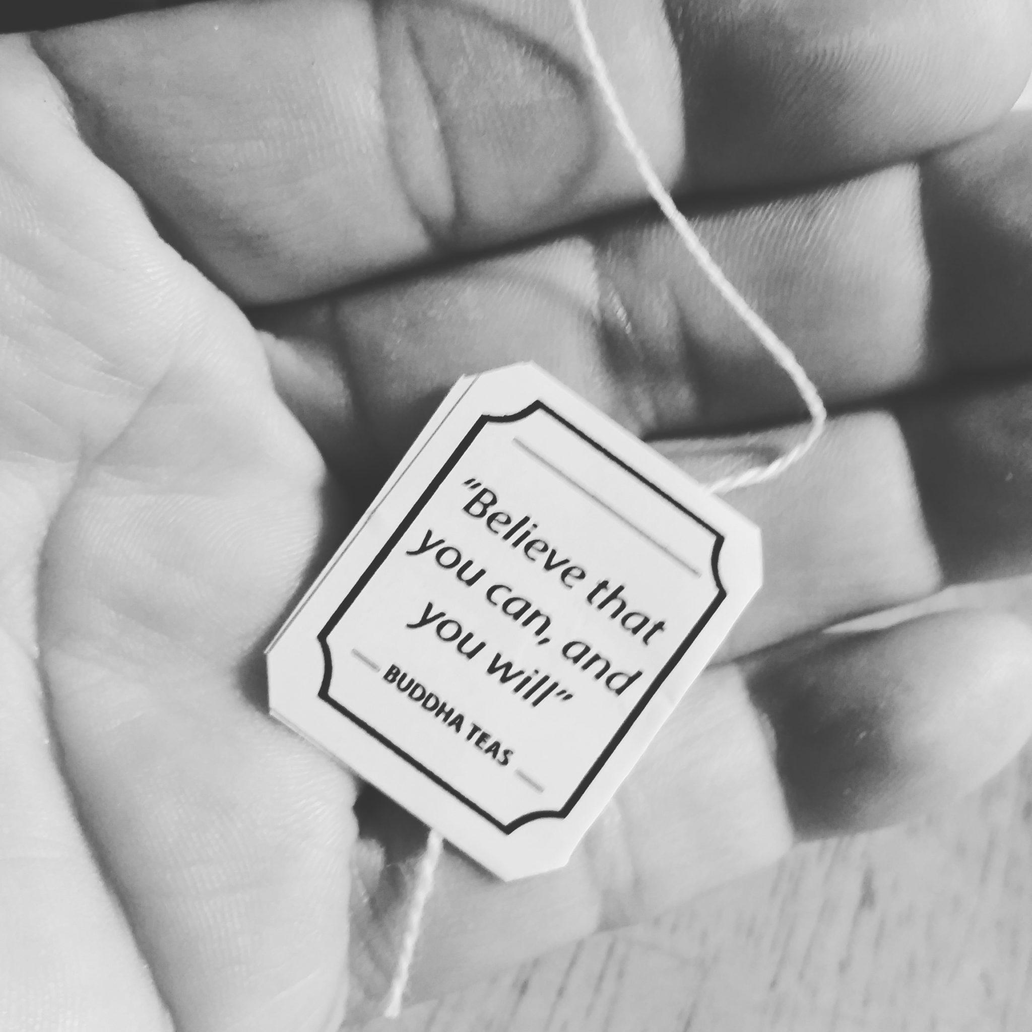 2019 Goals Mid Year Recap Seeking Serenity And Harmony 2019-goals-mid-year-recap-seeking-serenity-and-harmony
